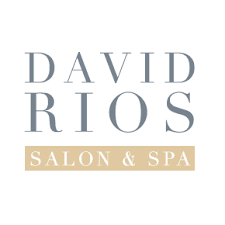David Rios Salon & Spa - Holiday Inspiration
