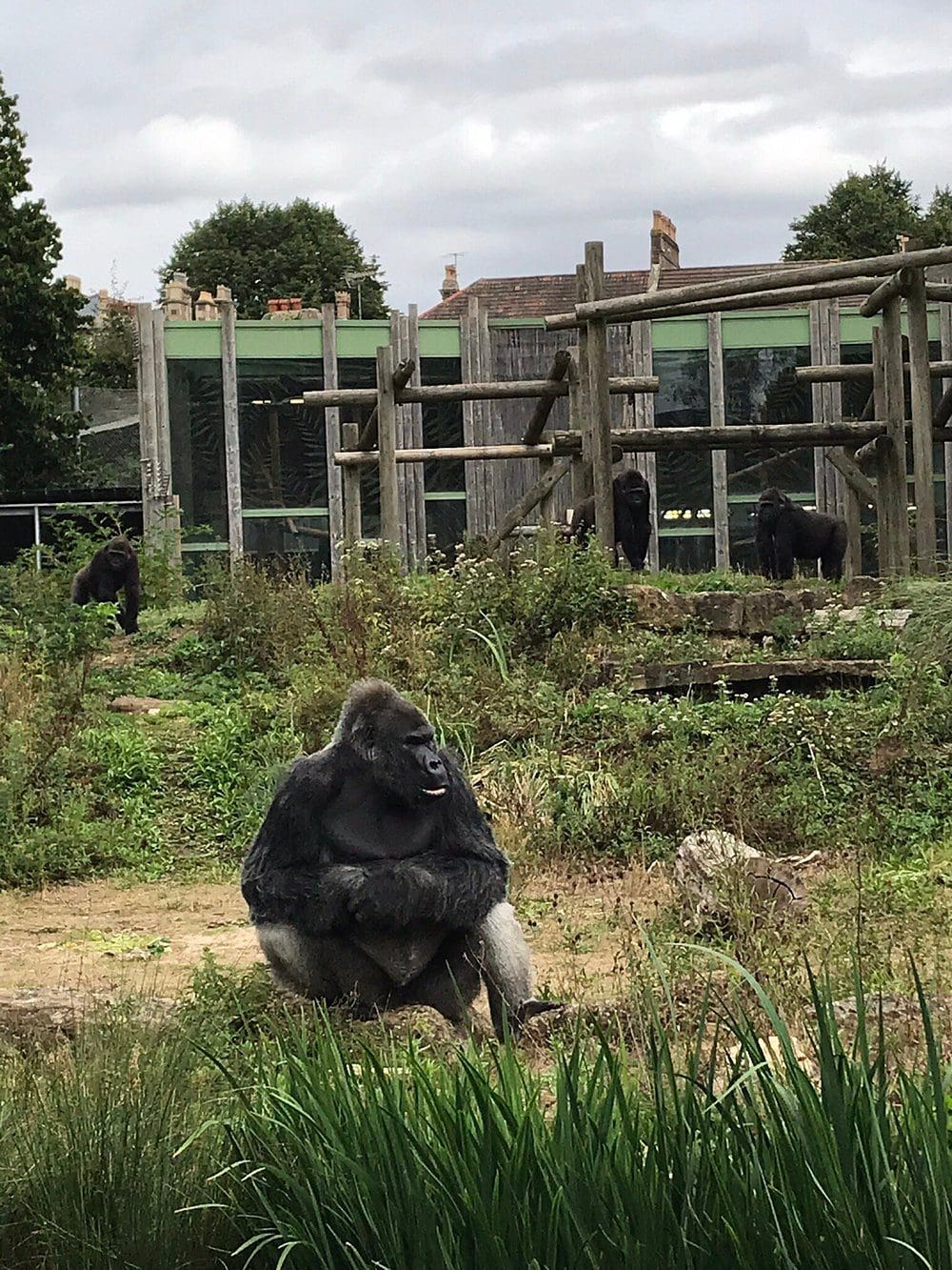 Bristol Zoo Gardens - Holiday Inspiration