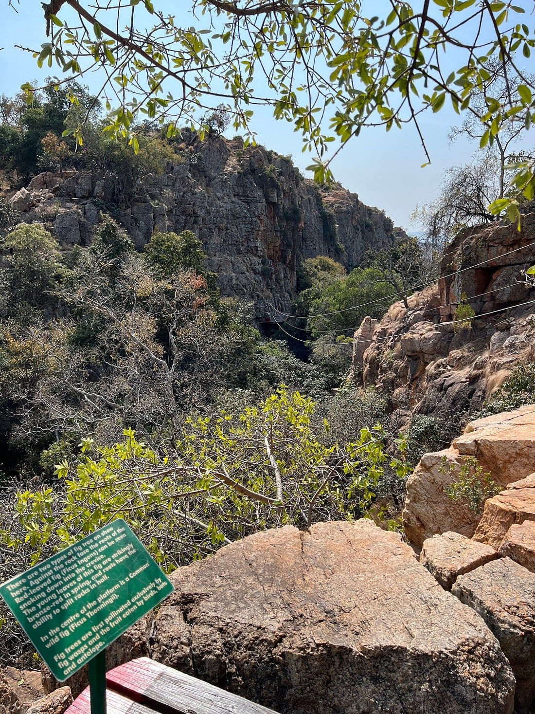 Magalies Canopy Tours - Holiday Inspiration